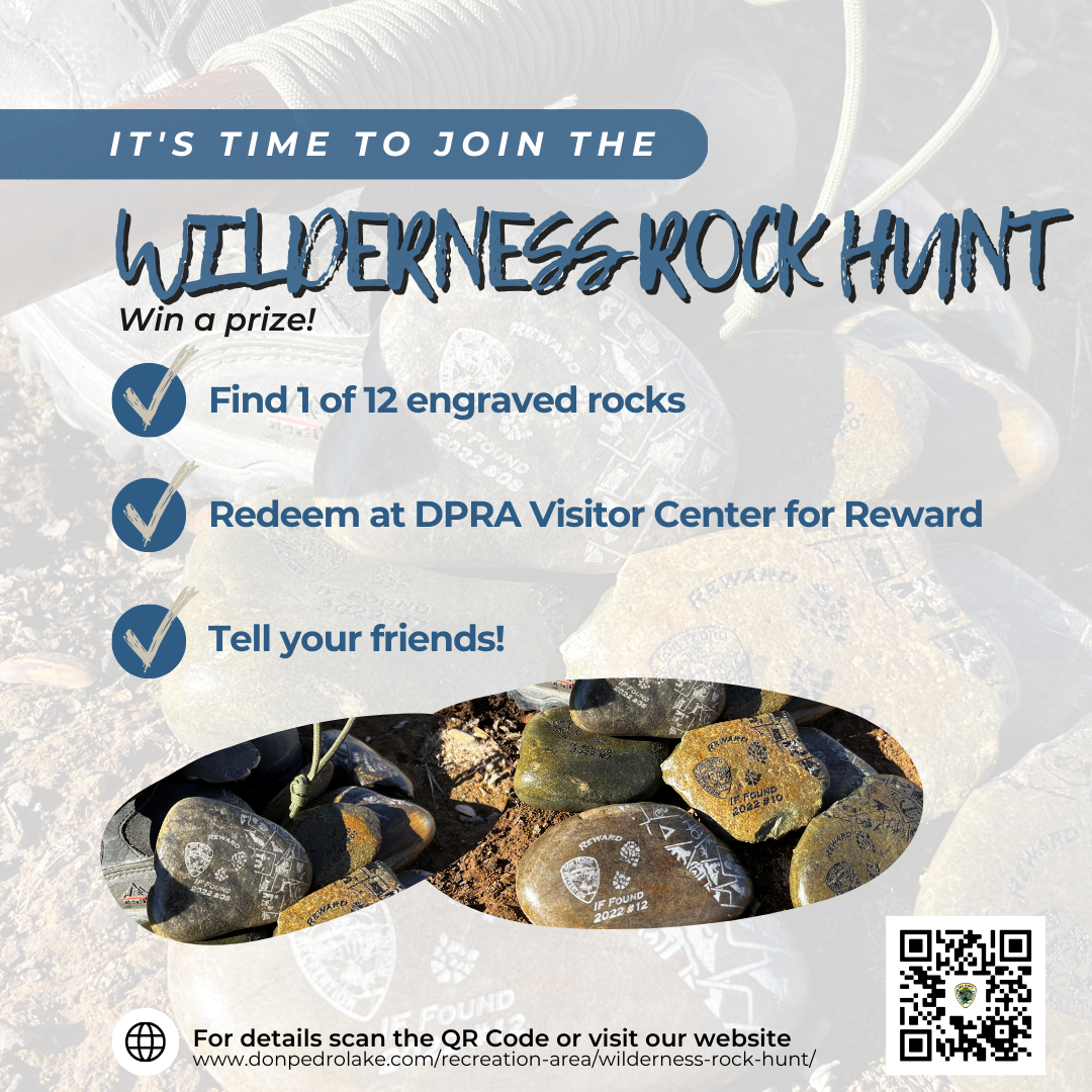 Wilderness Rock Hunt – Don Pedro Lake Site